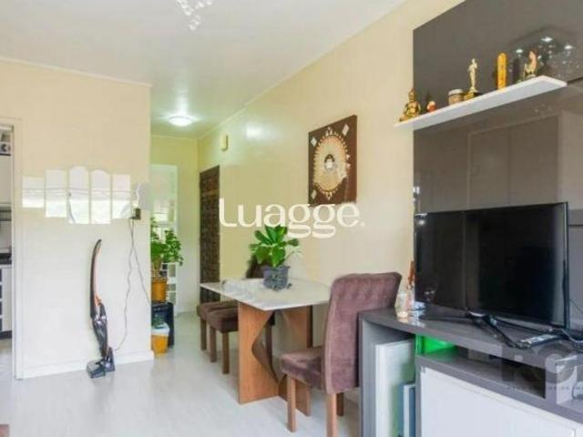 Apartamento Semimobiliado 1 Dormitório e 1 Vaga
