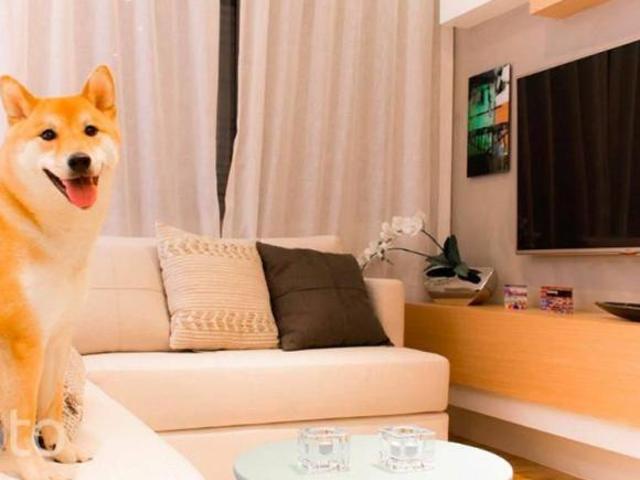 Apartamentos à venda em Vila Mascote, São Paulo | 1 quarto com 49 m²