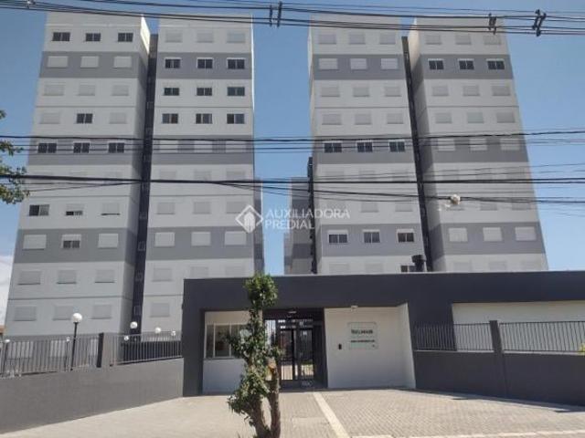 Apartamentos de 3 dormitórios