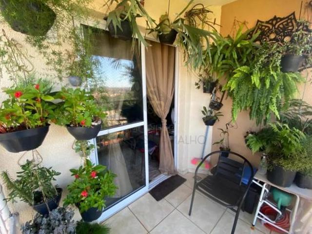 Apartamentos Padrão em Ribeirão Preto