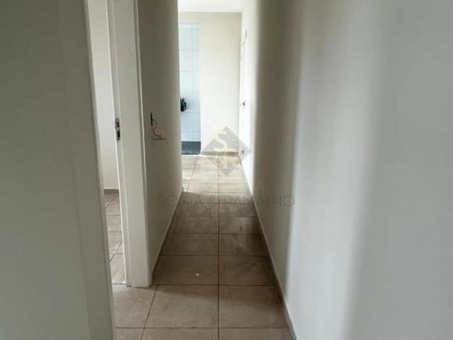 Apartamentos Padrão em Ribeirão Preto