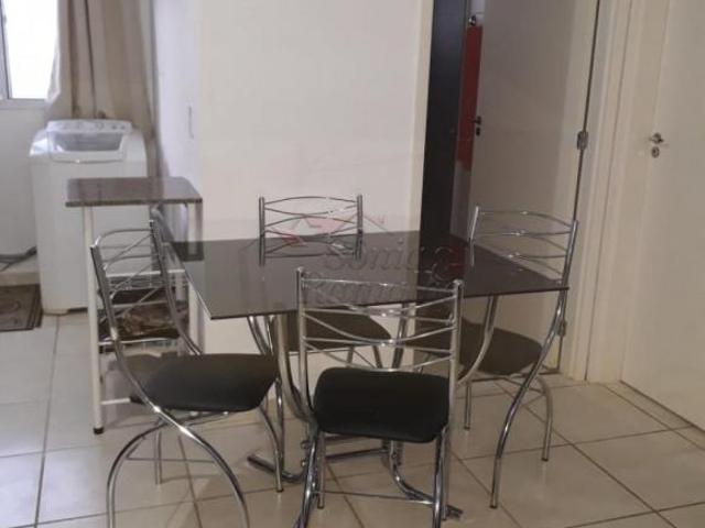 Apartamentos Padrão em Ribeirão Preto