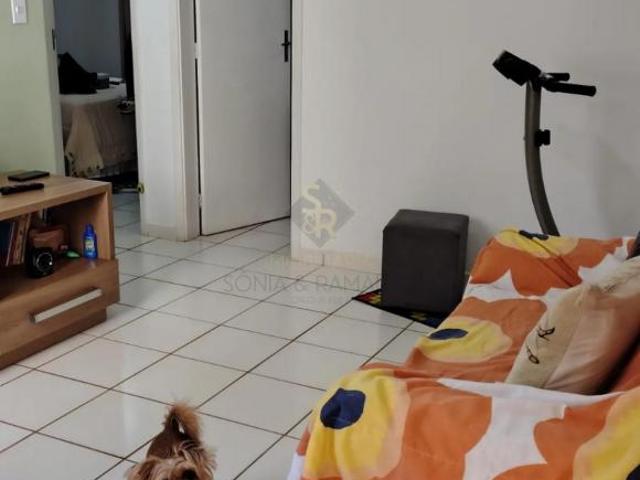 Apartamentos Padrão em Ribeirão Preto