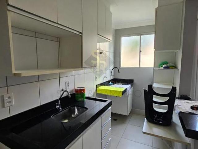 Apartamentos Padrão em Ribeirão Preto