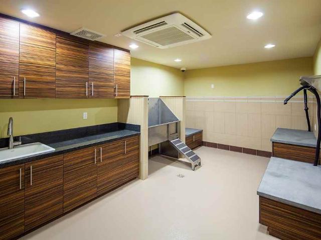 Apex 1 Bedroom Apartment for Rent at 1102 S Abel St, Milpitas, CA 95035 Midtown