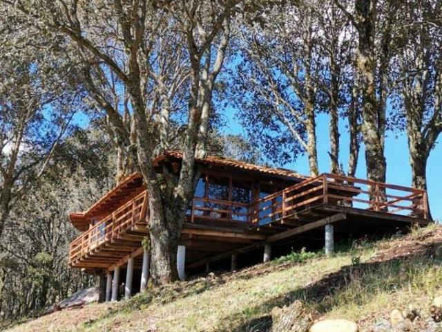 Apenas 25 Min da Rota do Vinho – Garanta o Seu
