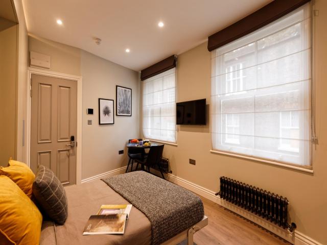 Appealing studio near the University of Westminster Marylebone Hall Has an Apartment