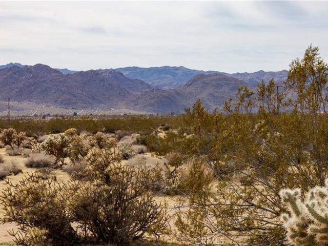 Appian Way, Joshua Tree, CA 92252