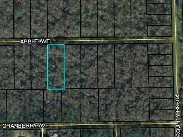 Apple Ave, Bunnell, Plot For Sale
