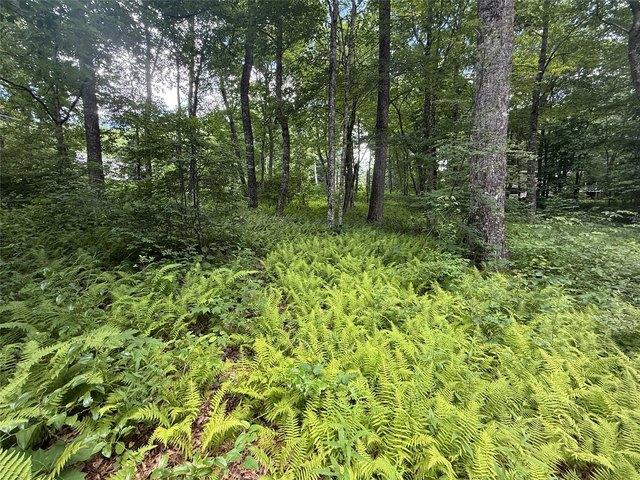 Apple Mountain Ln Lot 9, Highlands, NC 28741