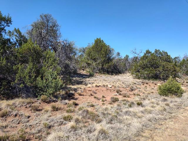 Apple Mountain RD