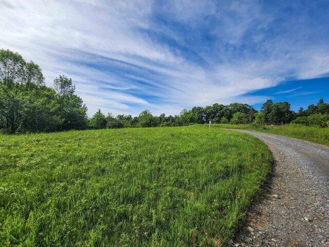 Applesauce Hill Rd Lot,castleton, Plot For Sale