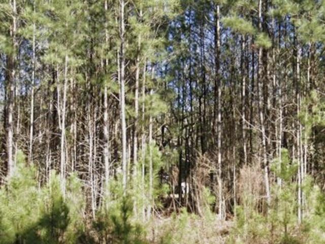 Appling Harlem Rd, Harlem, Home For Sale