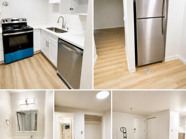 Approach at Jackson Park 2 Bedroom Apartment for Rent at 1203 Ne 135th St, Seattle, WA 98125 Pinehurst