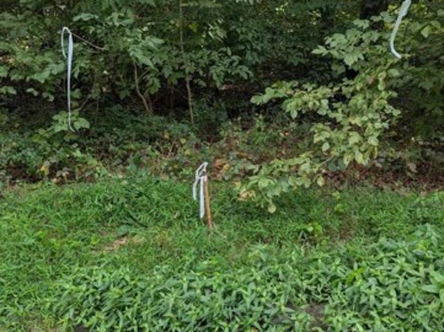 Approximately Floral Park Rd, Brandywine, Plot For Sale