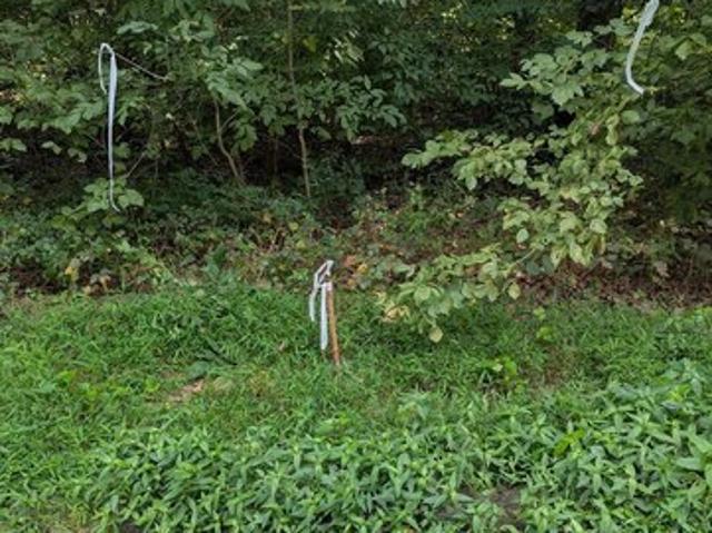 Approximately 3671 Floral Park Rd, Brandywine, MD 20613
