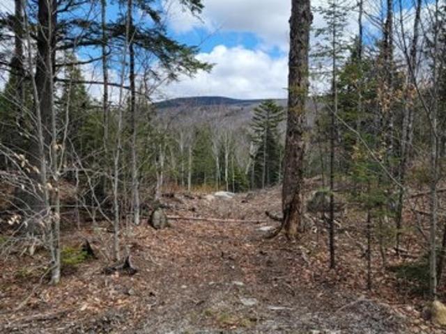 Apres Way, Carrabassett Valley, Plot For Sale