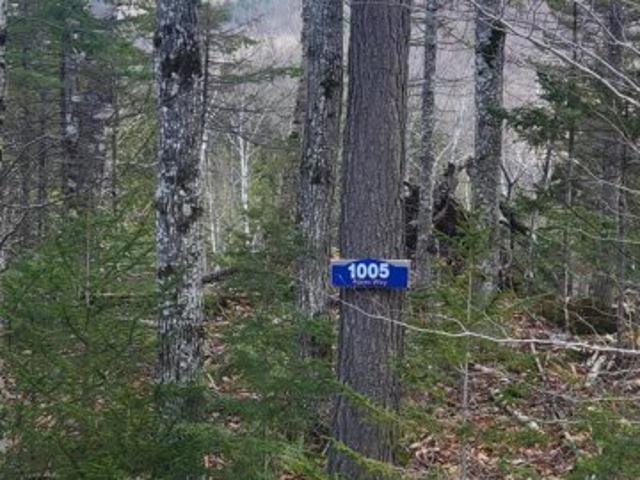Apres Way, Carrabassett Valley, Plot For Sale