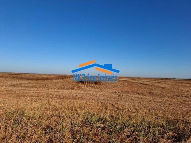 Apresentamos esta Fazenda estratégica 1.800 hectares em Feliz Natal MT