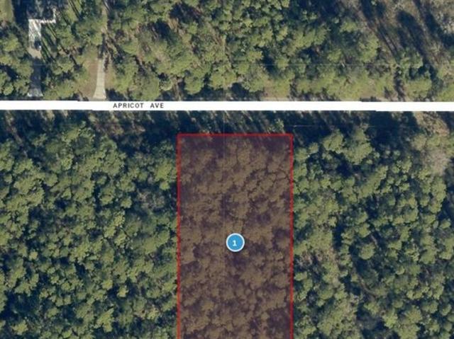 Apricot Ave, Eustis, FL 32736
