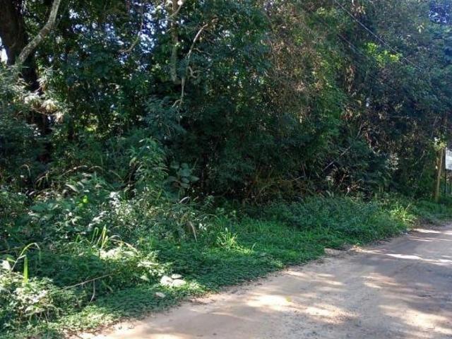 Aproveitem a grande oportunidade de adquirir um lote com escritura
