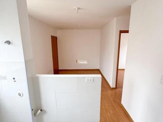 Apto Novo Bairro Jansen Gravatai