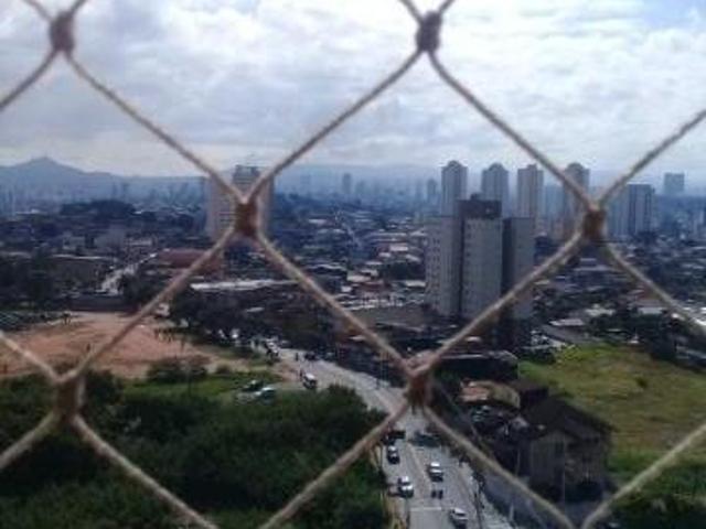 APTO BUSSOCABA