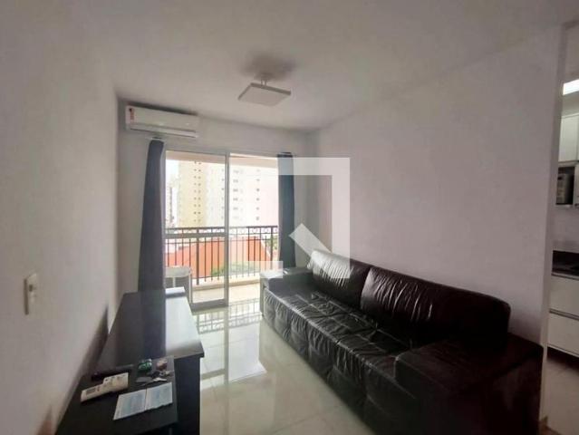 Apto, Cambuí, 1 Quarto, 45 m2 Campinas