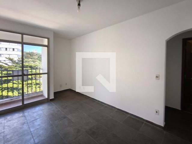 Apto, Proença, 1 Quarto, 53 m2 Campinas