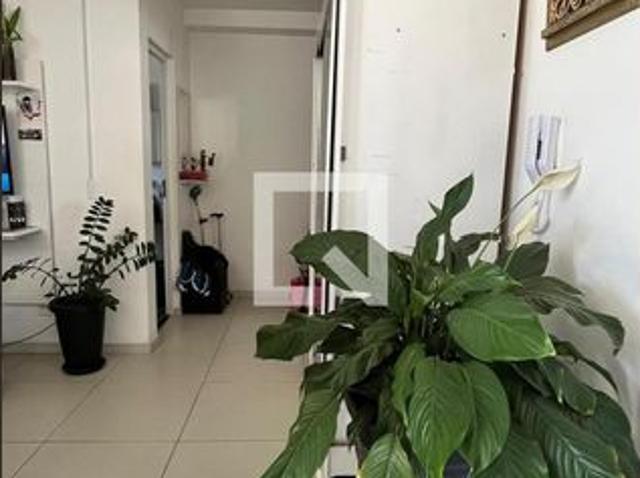 Apto, Vila Augusta, 1 Quarto, 35 m2 Guarulhos