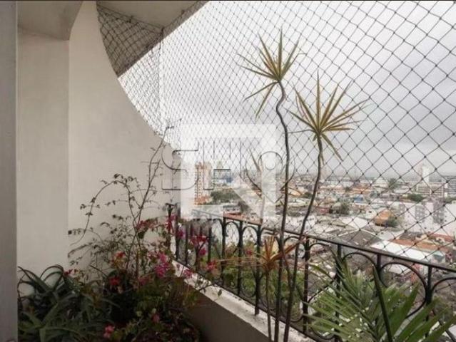 Apto, Vila Matilde, 3 Quartos, 76 m2 São Paulo