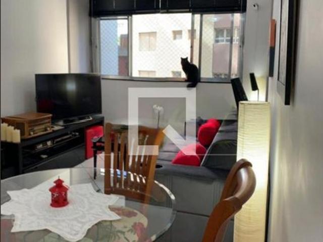 Apto, Vila Mariana, 1 Quarto, 51 m2 São Paulo