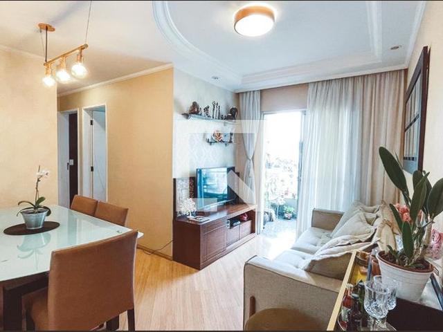 Apto, Vila Nova Cachoeirinha, 3 Quartos, 60 m2 São Paulo