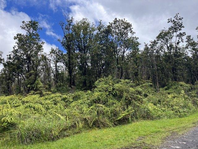 Apuakehau Rd, Volcano, HI 96785