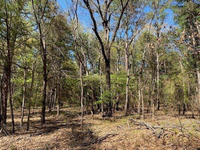 Armadillo Dr Lot 30 34, Murchison, TX 75778