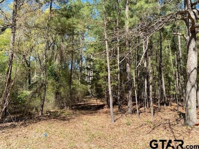 Armadillo Dr, Murchison, TX 75778
