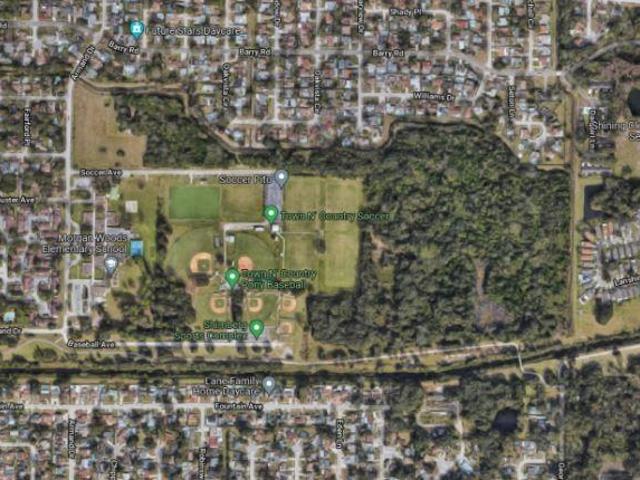 Armand Dr, Tampa, FL 33634 | MLS #O6248