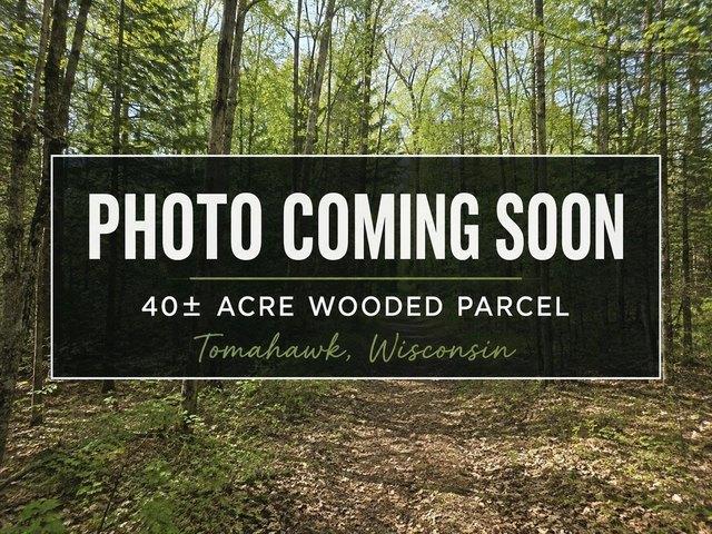 Armstrong Creek Rd, Tomahawk, WI 54487