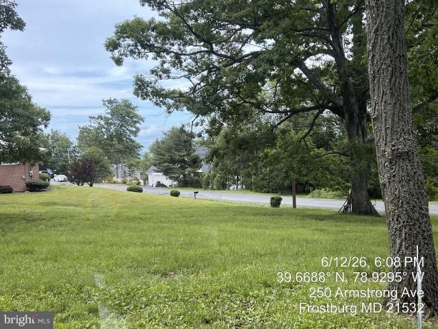 Armstrong Avenue
