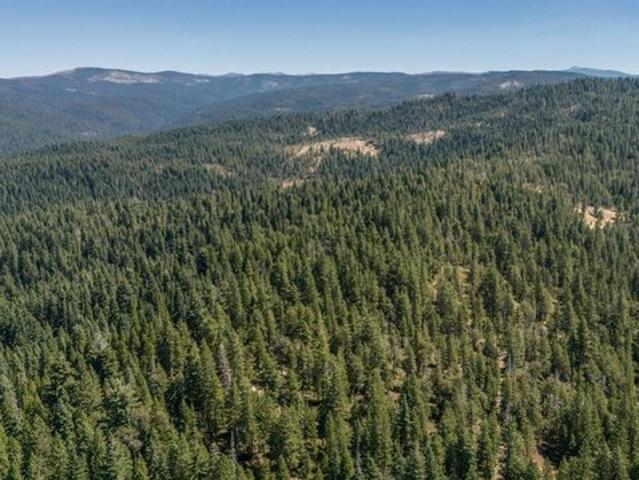 Armstrong Grade Highway 88, Somerset, CA 95684