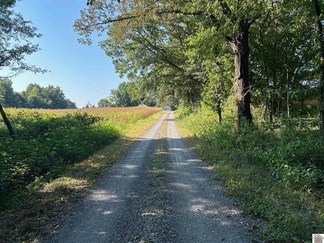 Arnett Tract A Ln Unit Proposed, Murray, KY 42071