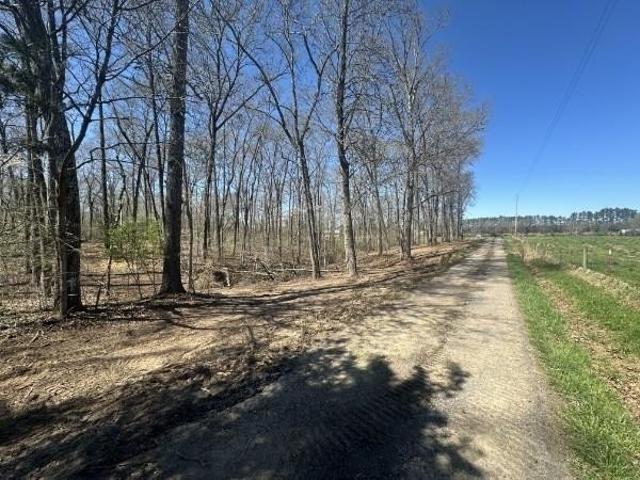 Arnold Thomas Rd Lot 4A, Silver Point, TN 38582