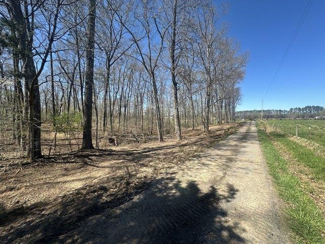 Arnold Thomas Rd, Silver Point, TN 38582