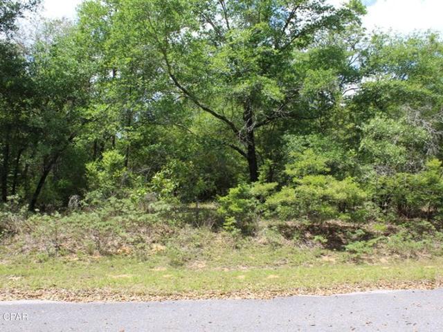 Arnone Ln Lot 6, Chipley, FL 32428