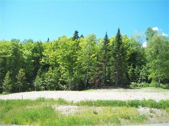 Aroostook Rd, Wallagrass, Plot For Sale