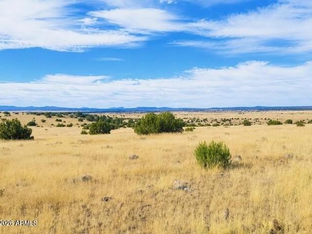 Arapaho Unit 3, Concho, AZ 85924