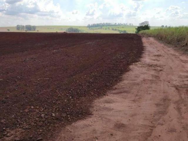 Araraquara. Ótima fazenda com 804 alq.