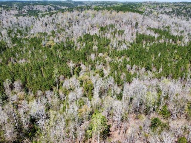 Ararat Rd, Ararat, AL 36921