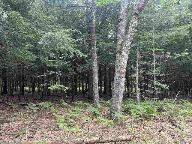 Arbutus Dr, Cross Village, MI 49723