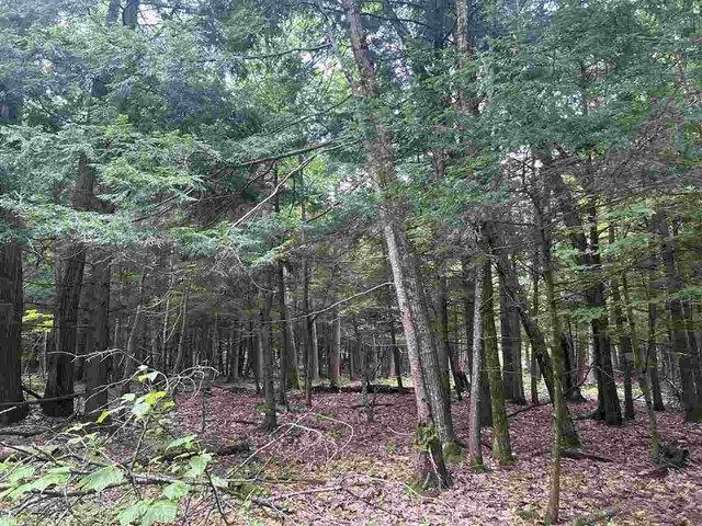 Arbutus Dr, Cross Village, MI 49723